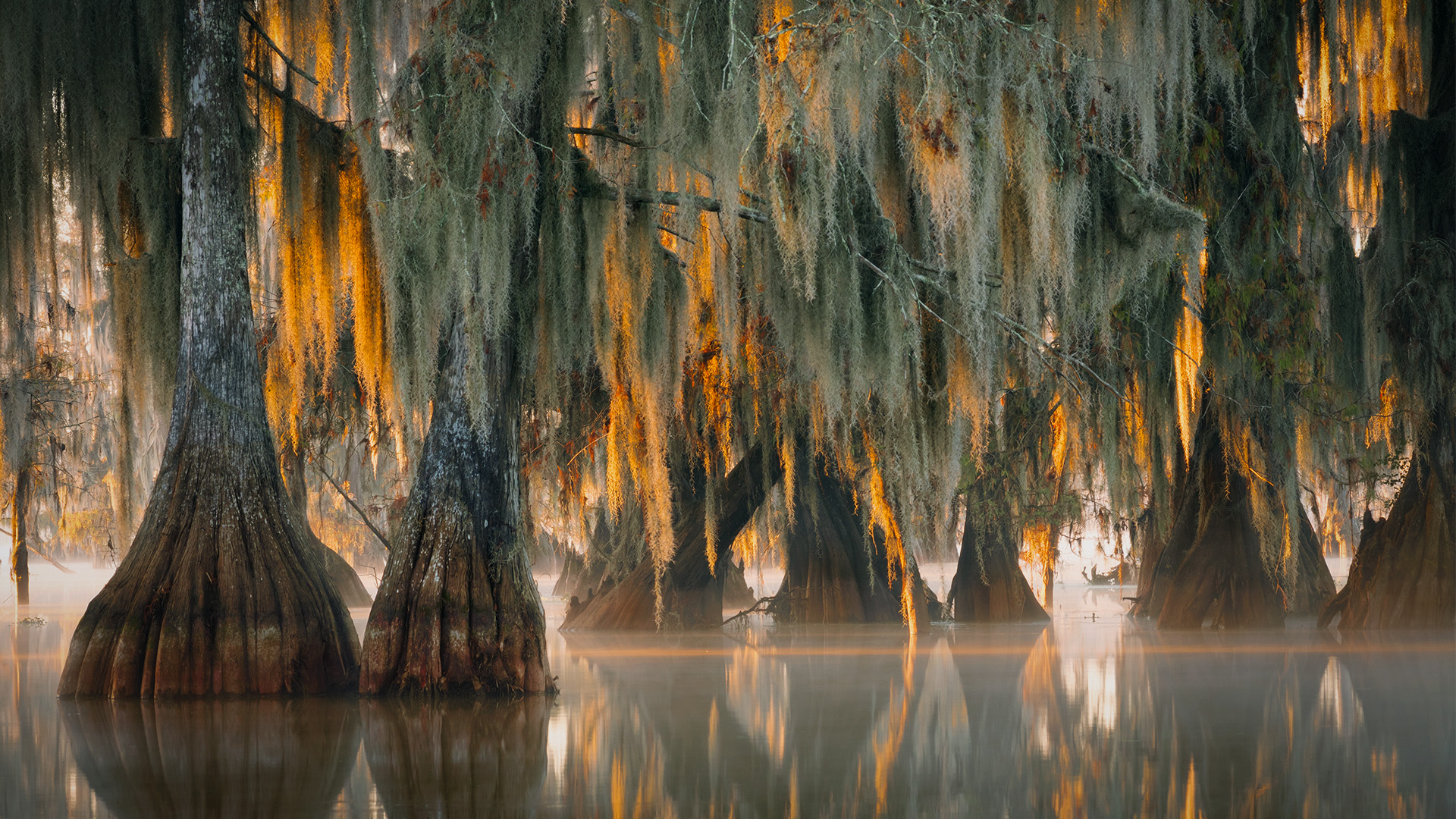 Main Home - Cestia Wealth Management